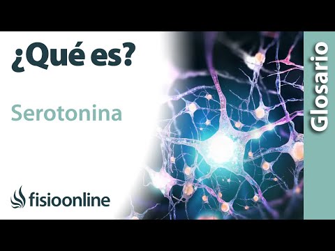 SEROTONINA | Qué es, qué órgano la segrega, efectos, en qué estructuras del cuerpo actúa