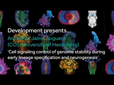 Development Presents... Anchel de Jaime Soguero