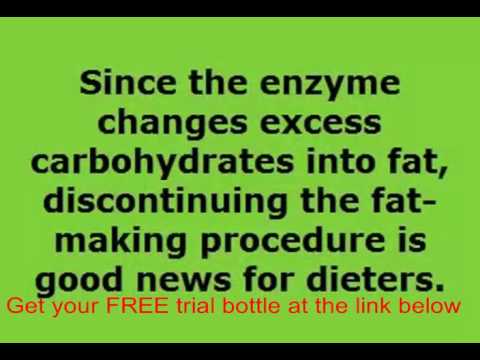 Premium garcinia cambogia 95 hca