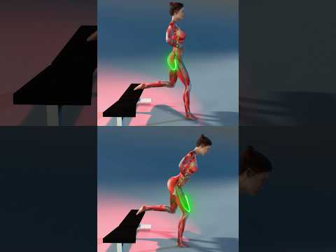 Bulgarian Split Squat – Glutes or Quads? 🍑 #shorts #fitness