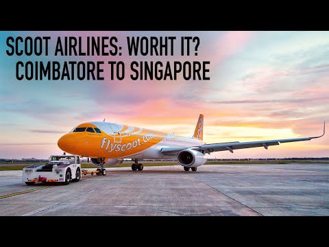The Scoot Review: Is it even worth flying Scoot?