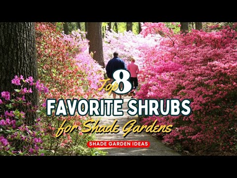 πΏ 8 Must Have Shade Shrubs: Prepare to Be Amazed! πΏ // Gardening Ideas