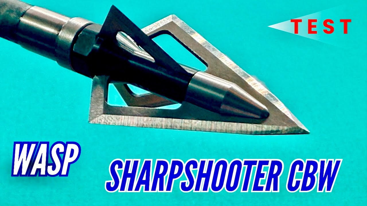 WASP SHARPSHOOTER CBW, 100 gr BROADHEAD TEST