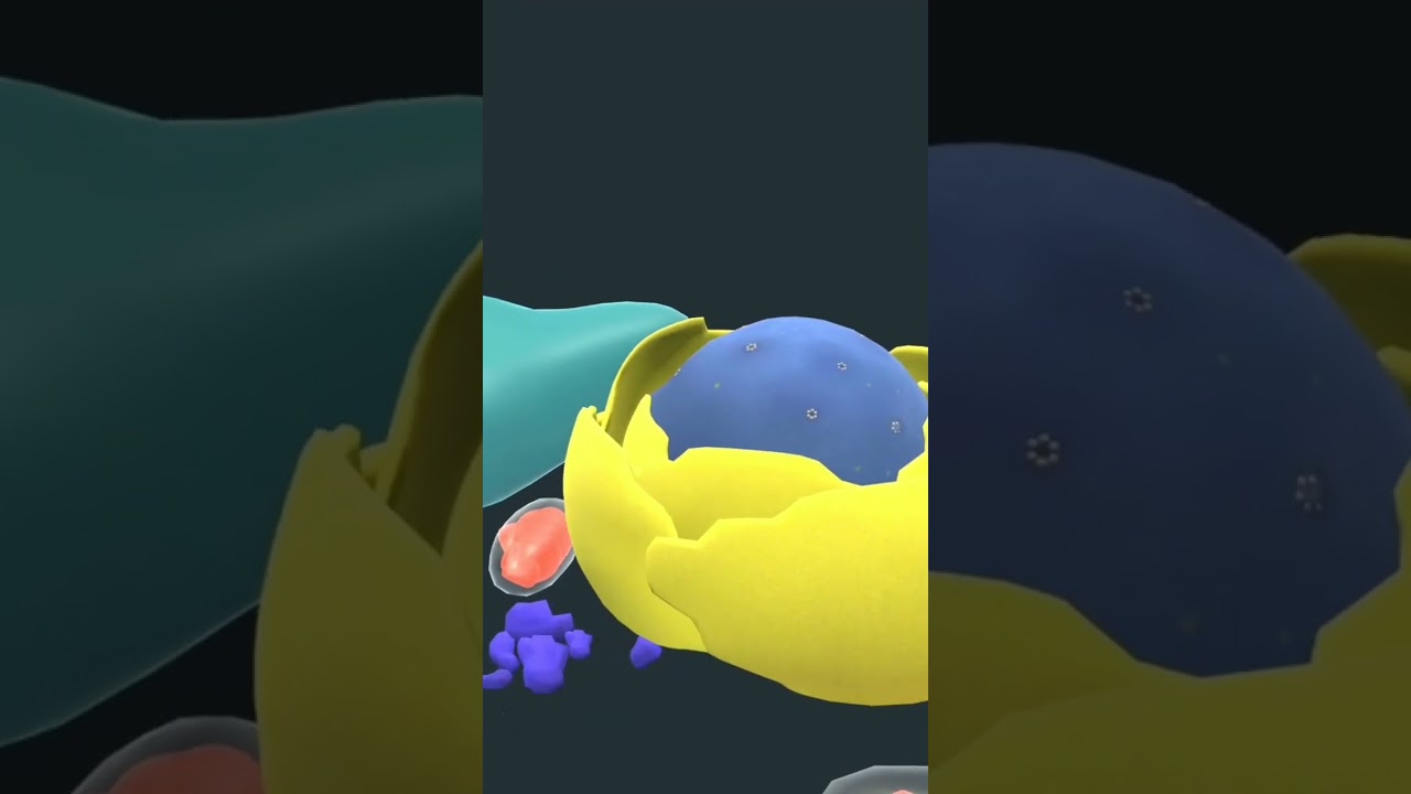 what is autophagy? #autophagy #cellularhealth #cellularcleansing #cellularregeneration #diet