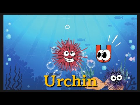 Words that start with U for kids | Learn with character U
