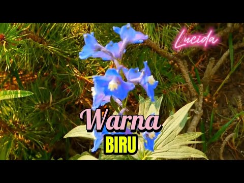 27 JUIN A - La signification du bleu