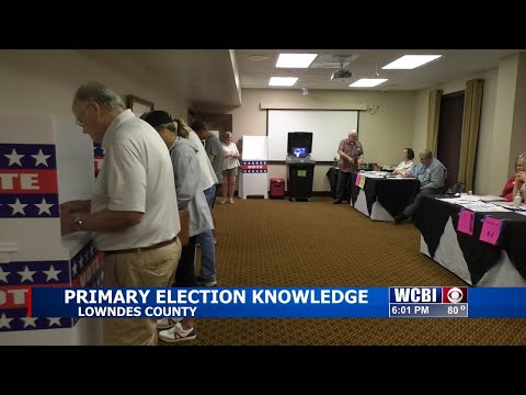 What are Primary Elections, how do they work?
