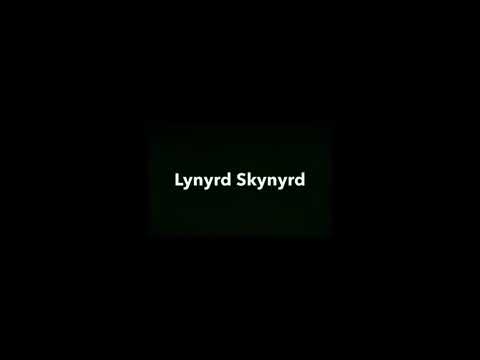 lynyrd Skynyrd Live - Cry For the Bad Man - 1976