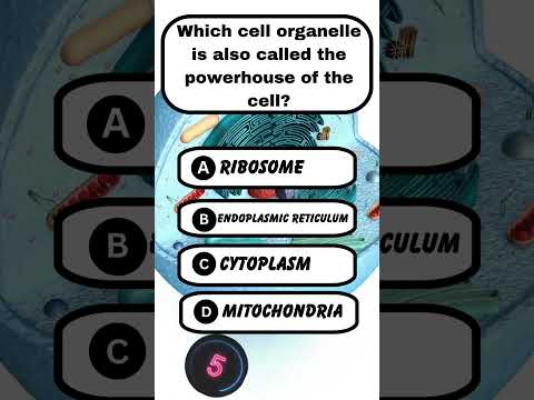 Which cell organelle is called the powerhouse of the cell? #shorts #shortsvideo #quiz #cell