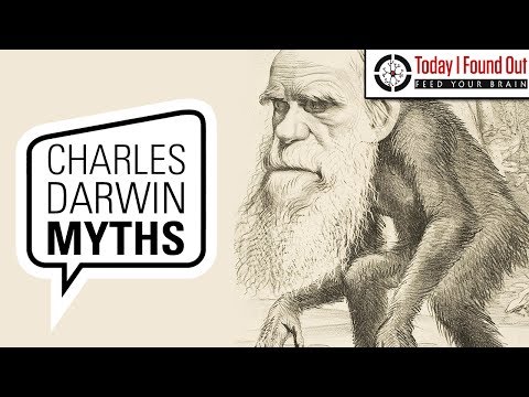 The Many Myths Surrounding Charles Darwin