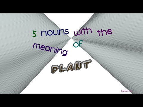plant - 5 nouns synonym to plant (sentence examples)