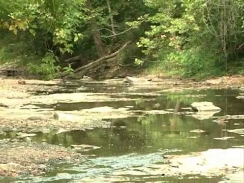 Anatomy of a Stream (K-12)