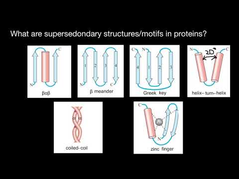 Protein folding: Supersecondary structure