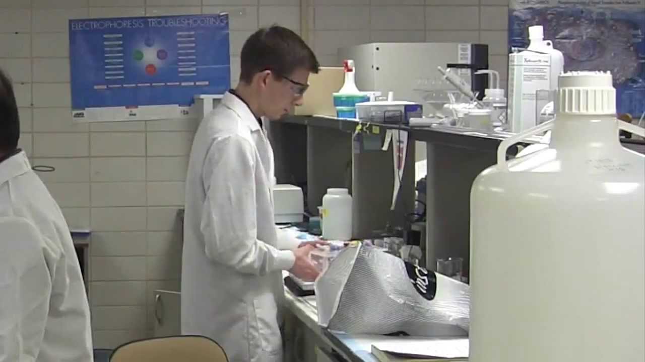 Sticky Nanoparticles Can Fight Heart Disease