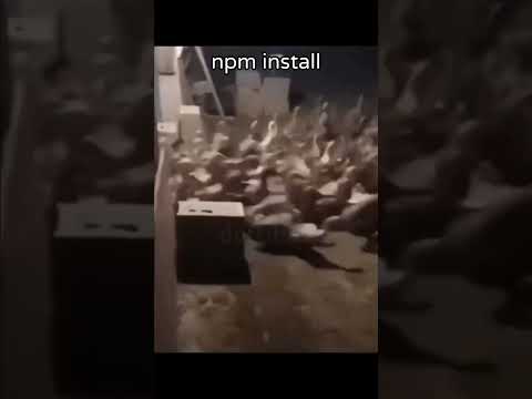 npm install be like? BTW. what is full form of NPM ?#programmer#programmerlife #funny #programming