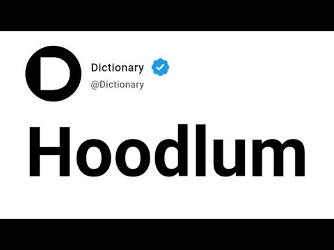 Hoodlum Meaning In English
