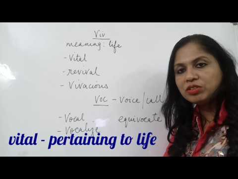 Vocabulary class 36 CAT, GRE, Bank PO, IELTS, TOEFL ultra, uni, ver, viv, voc, xeno, xer, zoo, zyg