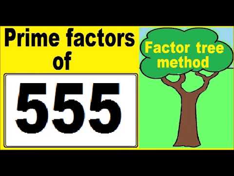 Prime factors of 555. Prime factors decomposition of 555. Factor tree method.