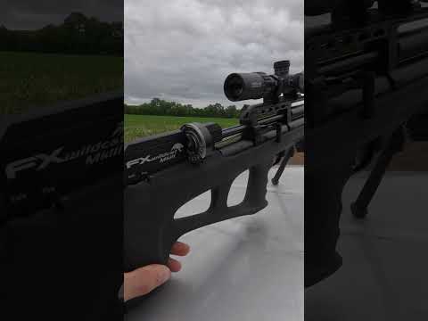 $1,400 vs $2,500 Air Rifle! #airgun #airgunning #gun #airrifleshooting #shorts