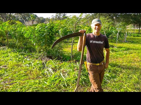 Scything Our Syntropic System W/ Jim Kovaleski!