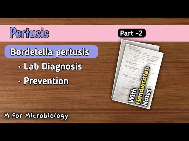 Understanding Laboratory Diagnosis and Prevention of Pertussis | Galaxy