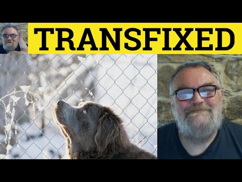 🔵 Transfix Meaning - Transfixed Examples - Transfix Defined - Formal Vocabulary