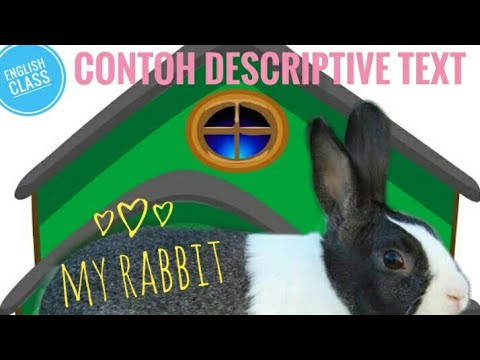 Contoh Descriptive Text : Describing Animal
