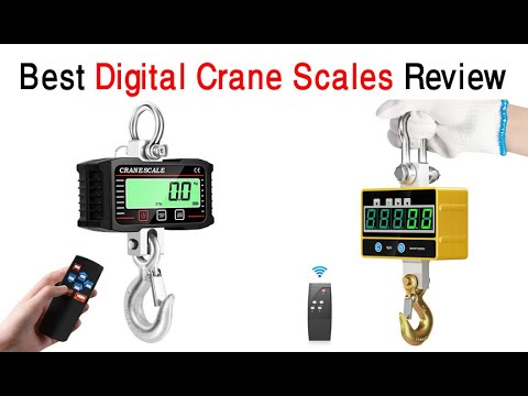 Best Digital Crane Scales Review 2025