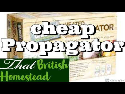 Wilko's £20 Heated Propagator.