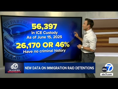 More than half arrested by ICE in LA area have no criminal history, data shows
