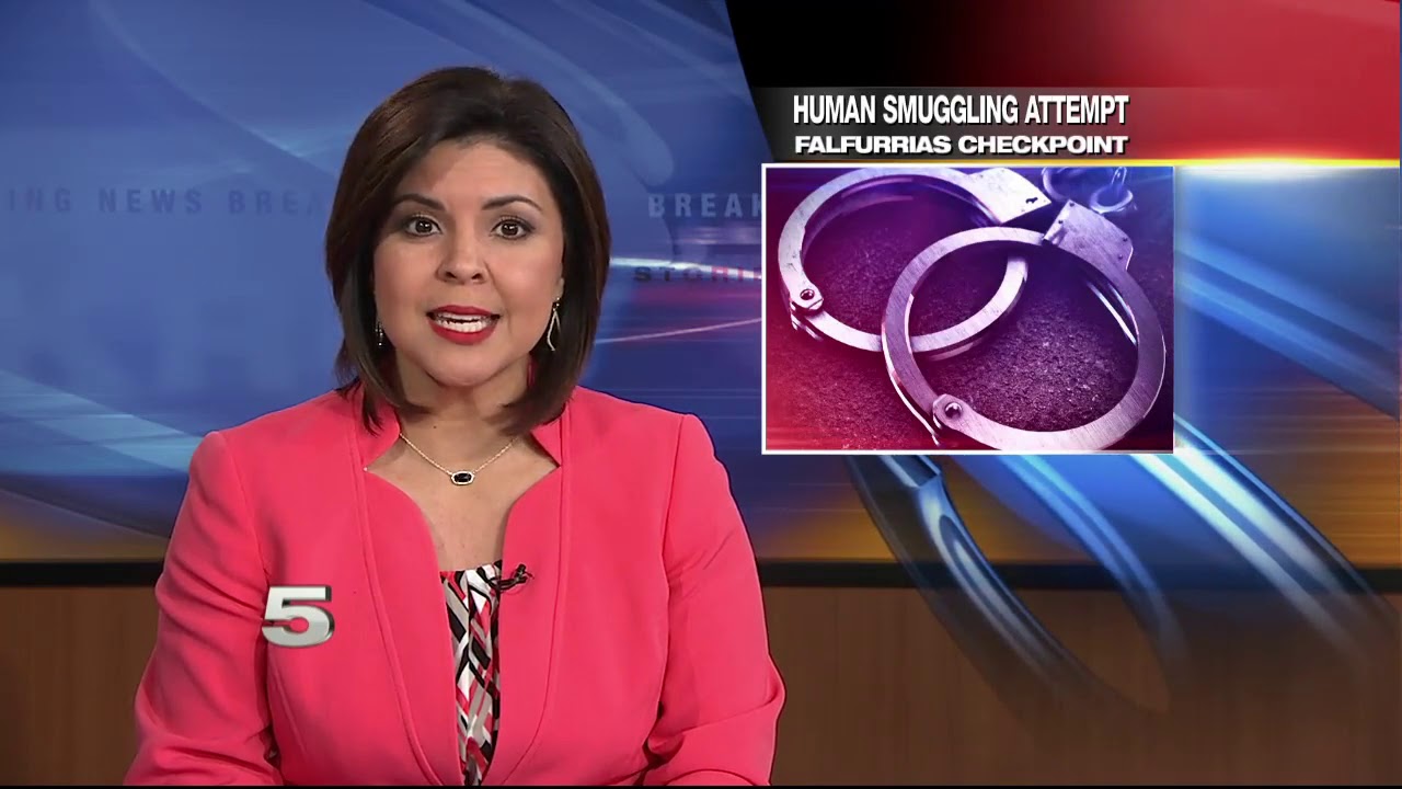 Human Smuggling Attempt Stopped in Falfurrias