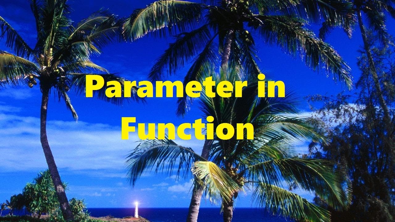2. Parameter in Function (Python Programming)