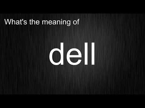 What's the meaning of "dell", How to pronounce dell?