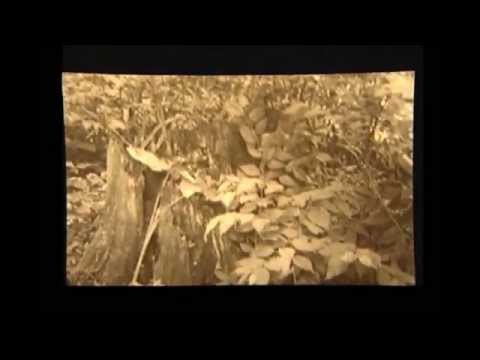 Seifritz on Protoplasm - Full Film