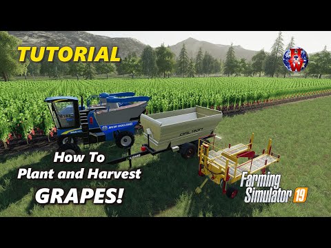 Steam Community :: Video :: How To Plant and Harvest GRAPES! - Farming ...