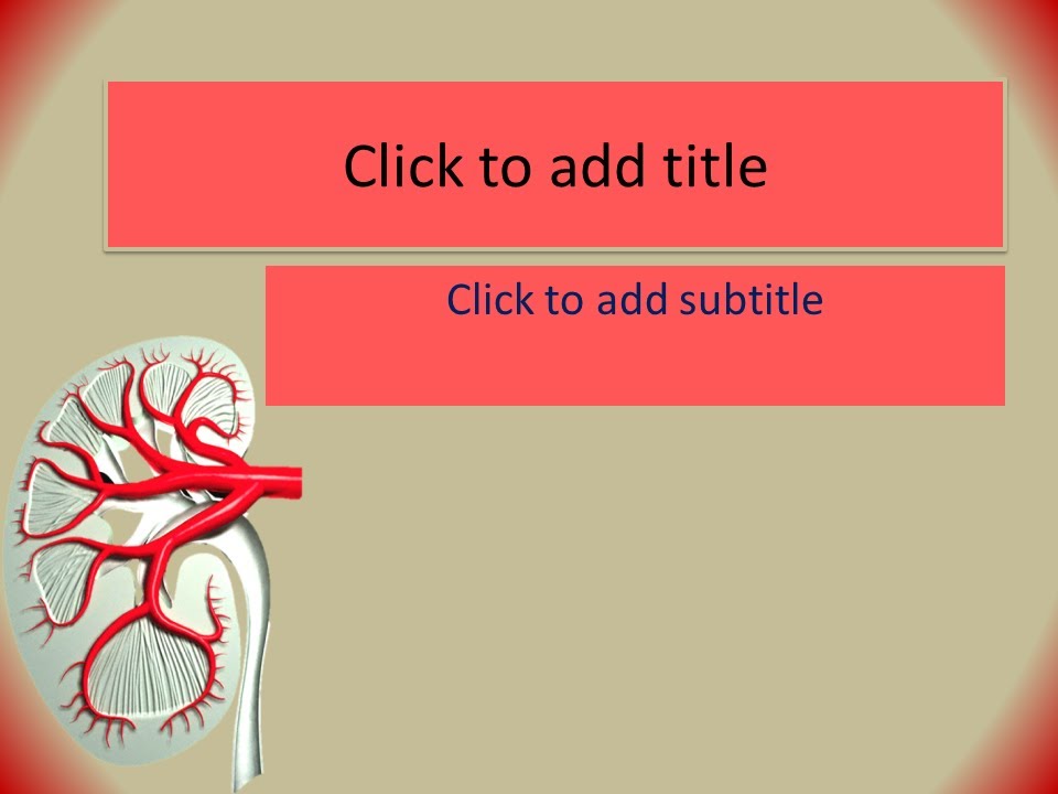 Free Kidney PowerPoint Template Download