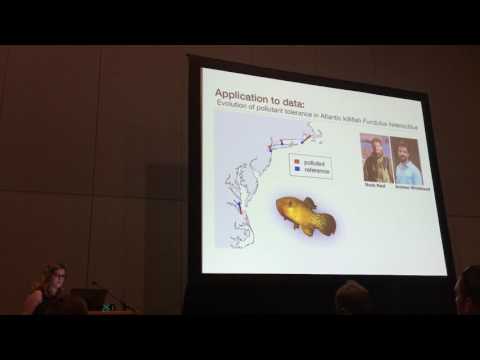 Lee:Mutation, migration, standing variation: the where and how of convergent adaptation