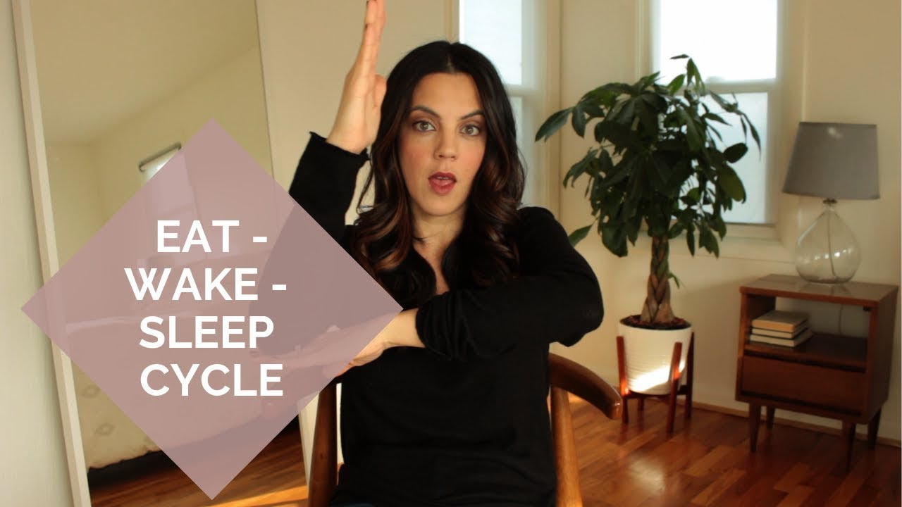 What Is the Eat-Wake-Sleep Cycle?