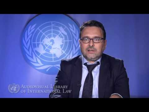 Vicent Chetail on the Sources of International Migration Law