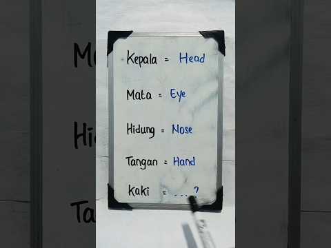 KAKI BAHASA INGGRISNYA APA YA ? || GRAMMAR DASAR