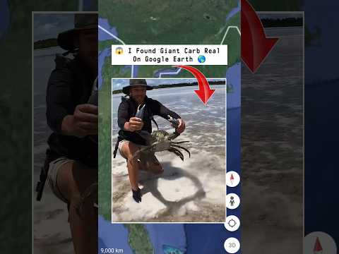 I Found Giant Very Strange Crabsπ¦ On Google Earth And Google Map In Real #shorts #earth #googleearth
