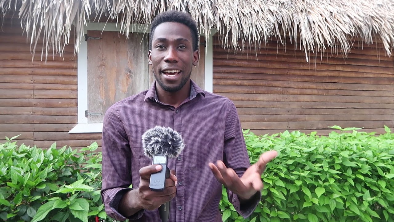 7elements Global Health