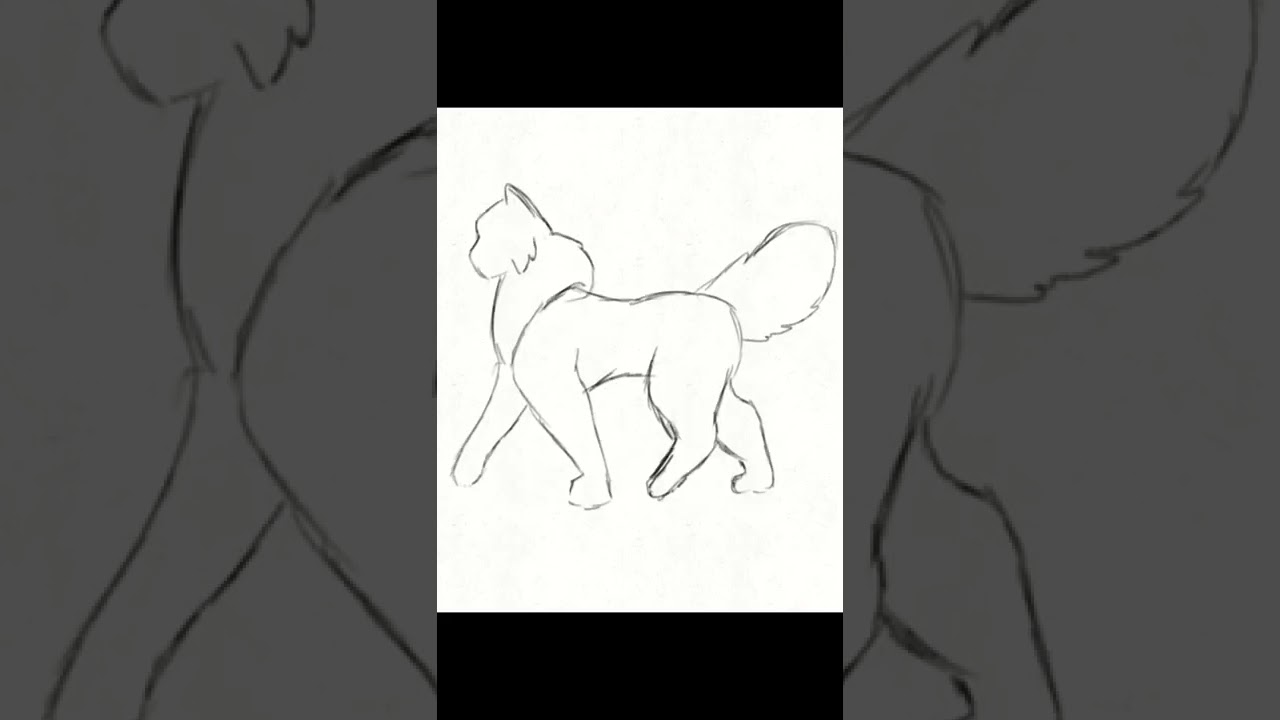 Cat Walk Animation Practice