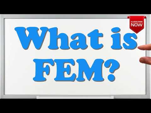 What is the full form of FEM?
