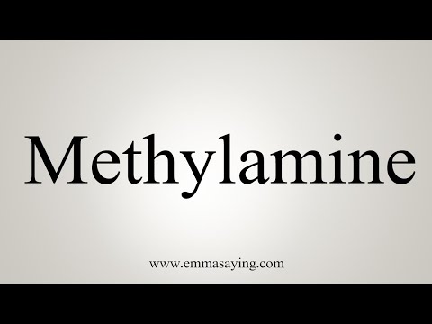 How To Say Methylamine