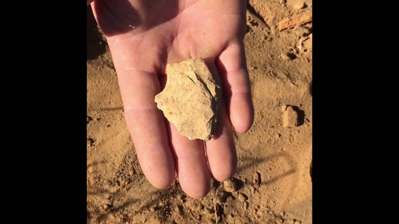 Arrowhead Hunting Huge Pickwick and Cache Killer