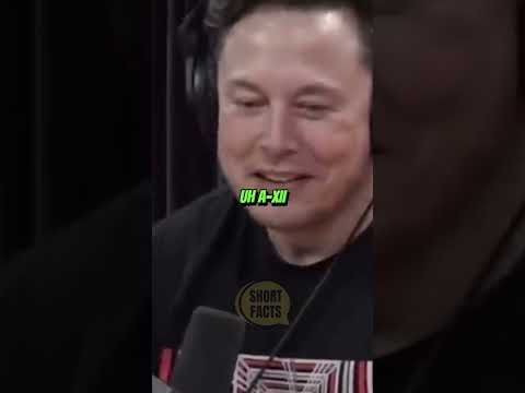 Elon Musk's son's name