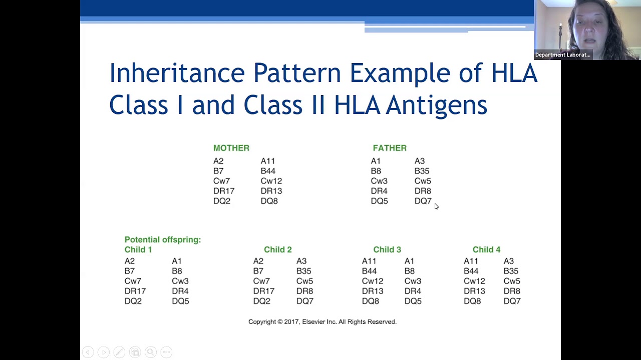 BloodBank Lecture 29  2020