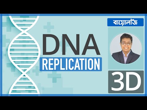 All About DNA Replication (in বাংলা) | Super Easy