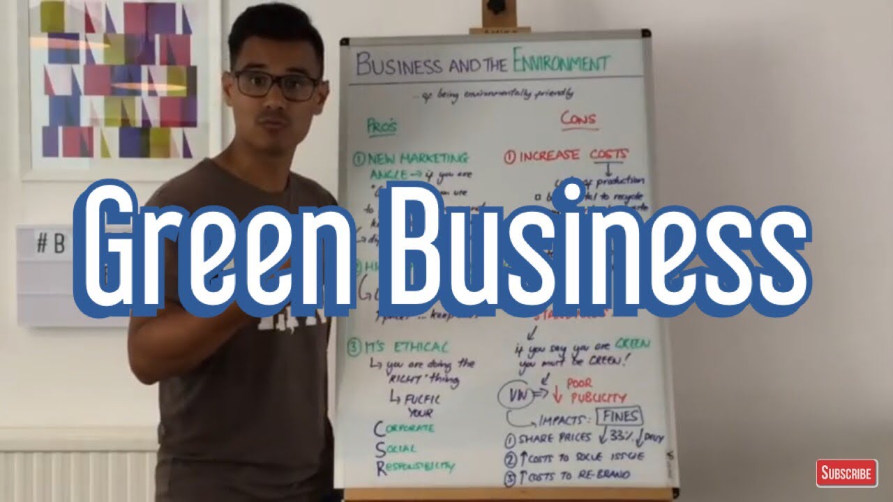 Business and the Environment